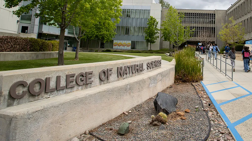 Hands-on learning takes center stage at CNS Science Carnival | CSUSB ...