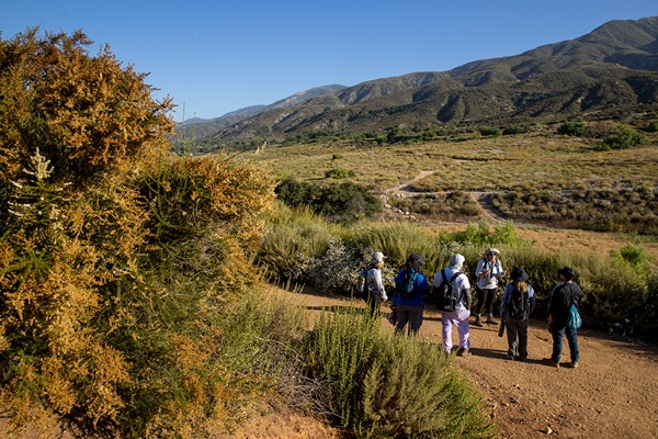 Education Abroad | Join the Pack | CSUSB