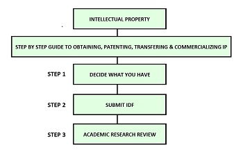 Intellectual Property | Academic Research | CSUSB